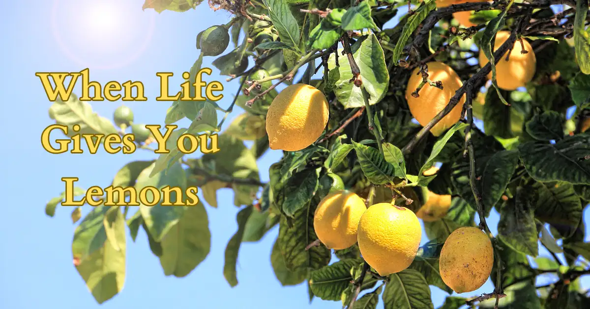 When Life Gives You Lemons: 7 Motivational Quotes