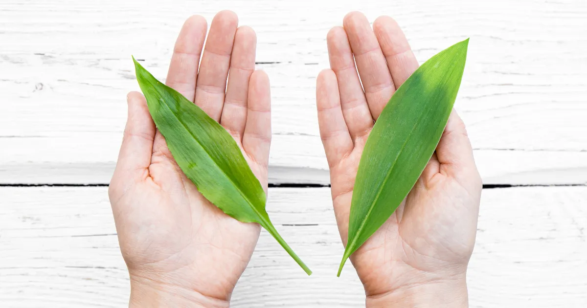 When to Trust Your Gut Feelings: 10 Critical Situations